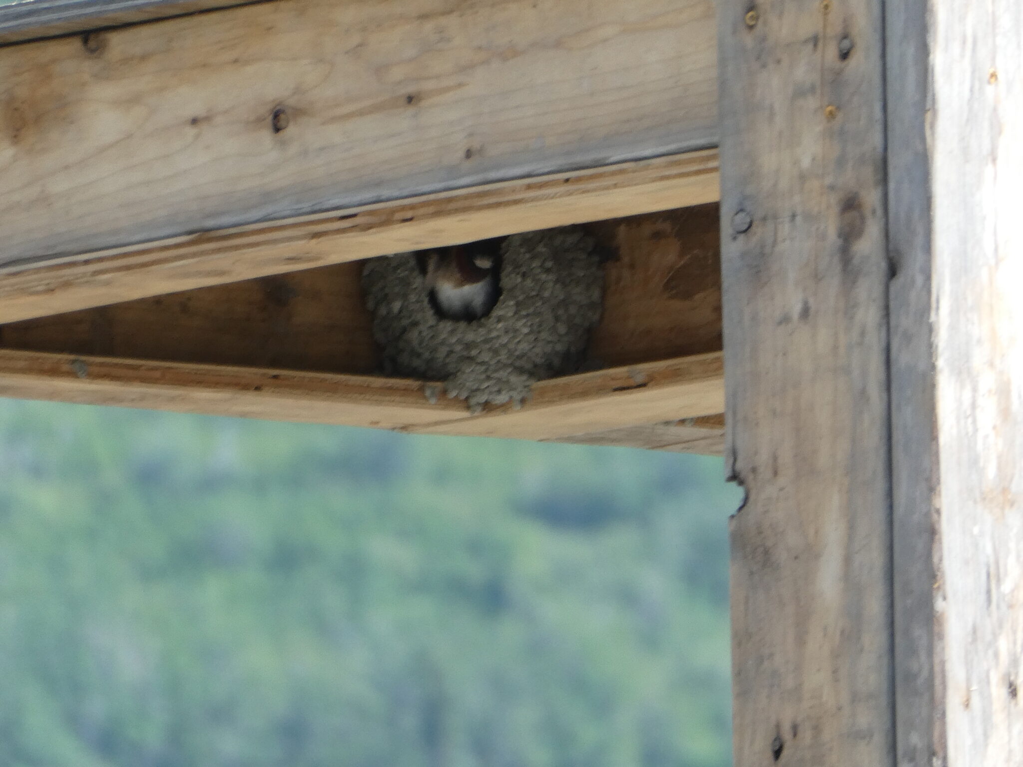 2023 Atigun Awards spotlight, Environment: Pump Station 12 Facility ...
