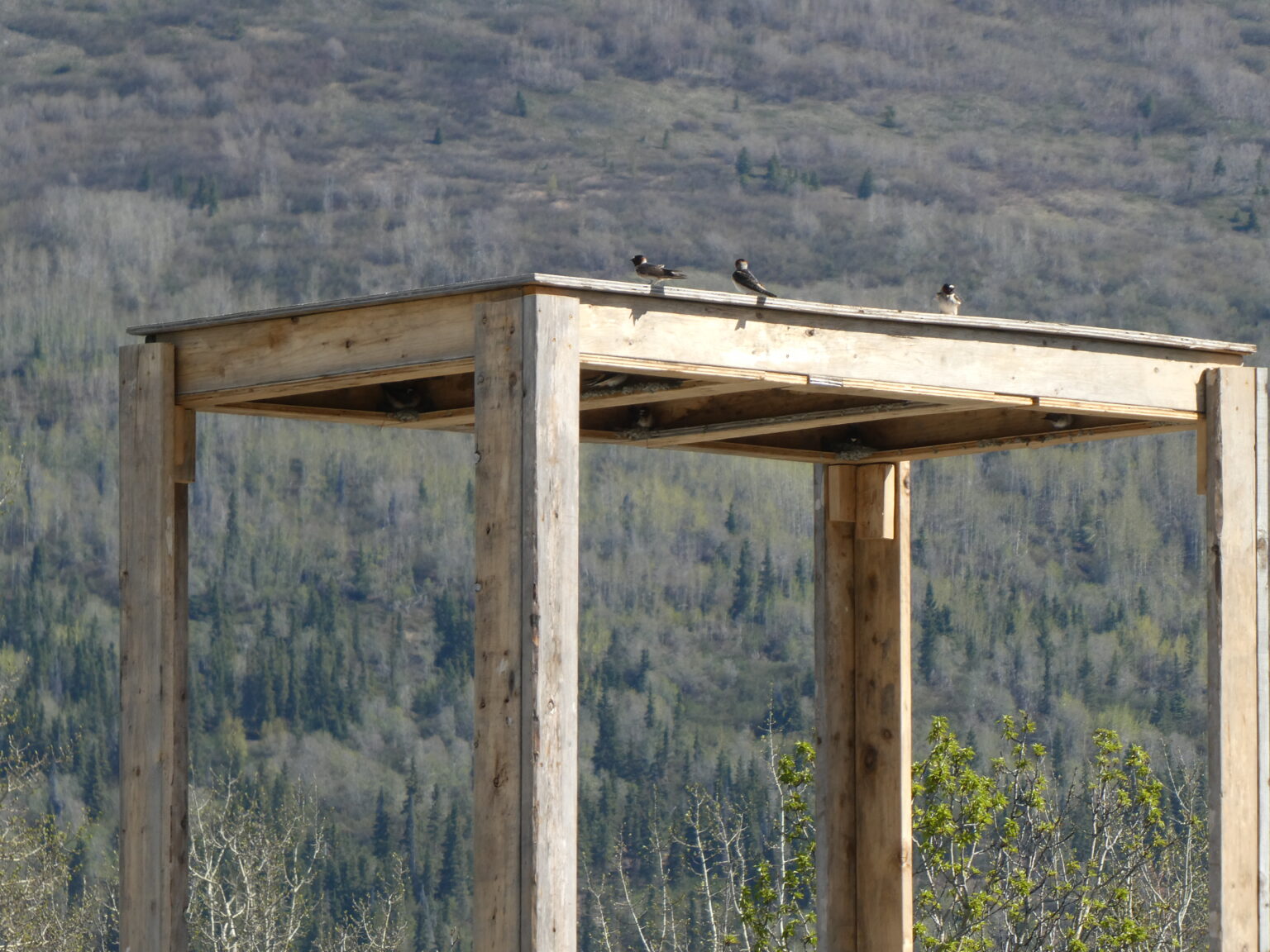 2023 Atigun Awards spotlight, Environment: Pump Station 12 Facility ...